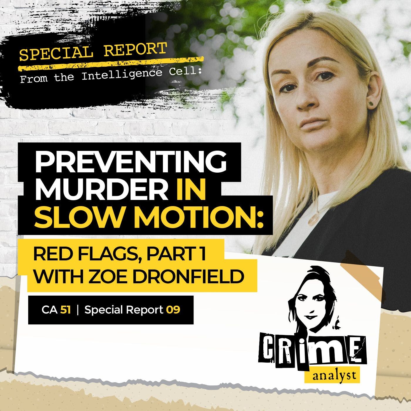 Preventing Murder in Slow Motion™: Red Flags with Zoe Dronfield, Part 1 ...