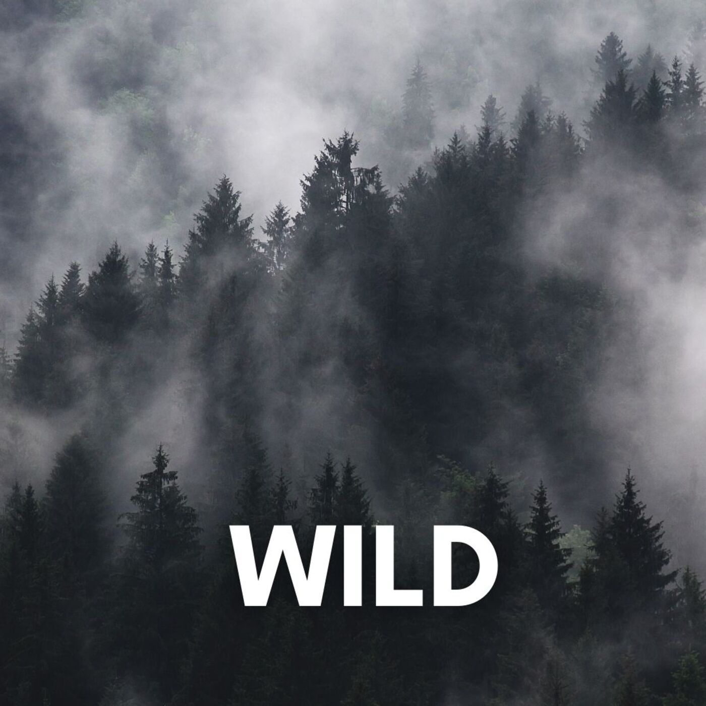 Wild: An Elemental Journey through Earth, Ice, Fire and Air with Nature ...