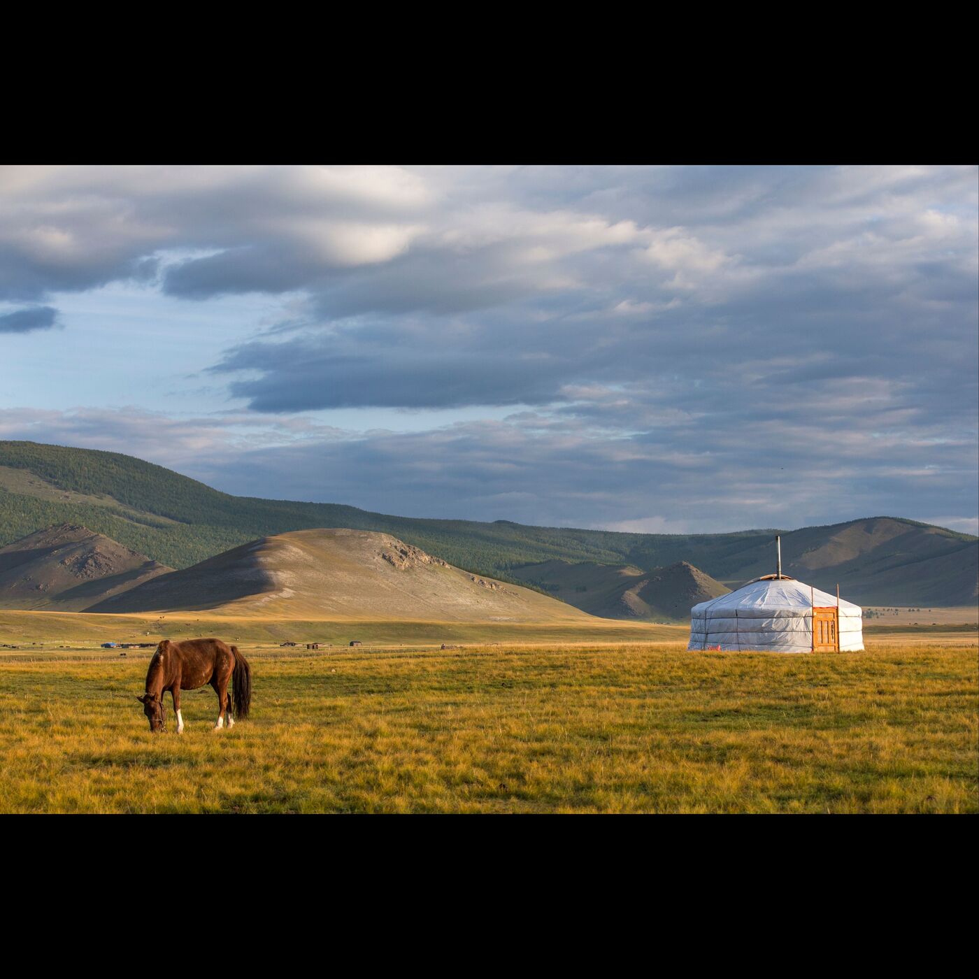 Horse Trekking in Mongolia with Pro Surfer Jon Rose - Pocket Casts