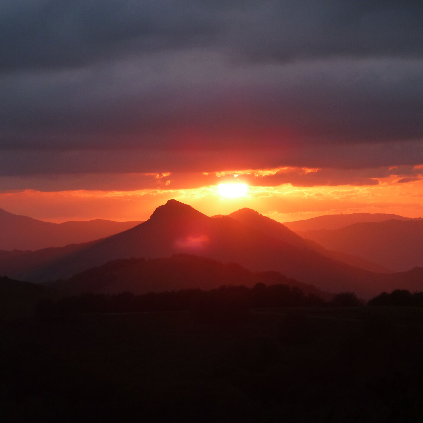 Wanderland: on a Vision Quest with Nature Writer Jini Reddy - Pocket Casts