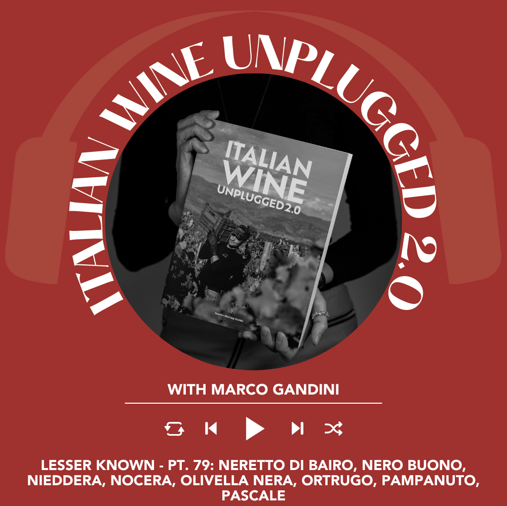 Italian Wine Podcast - Ep. 2027 Marco Gandini Narrates Pt. 79 | Italian ...