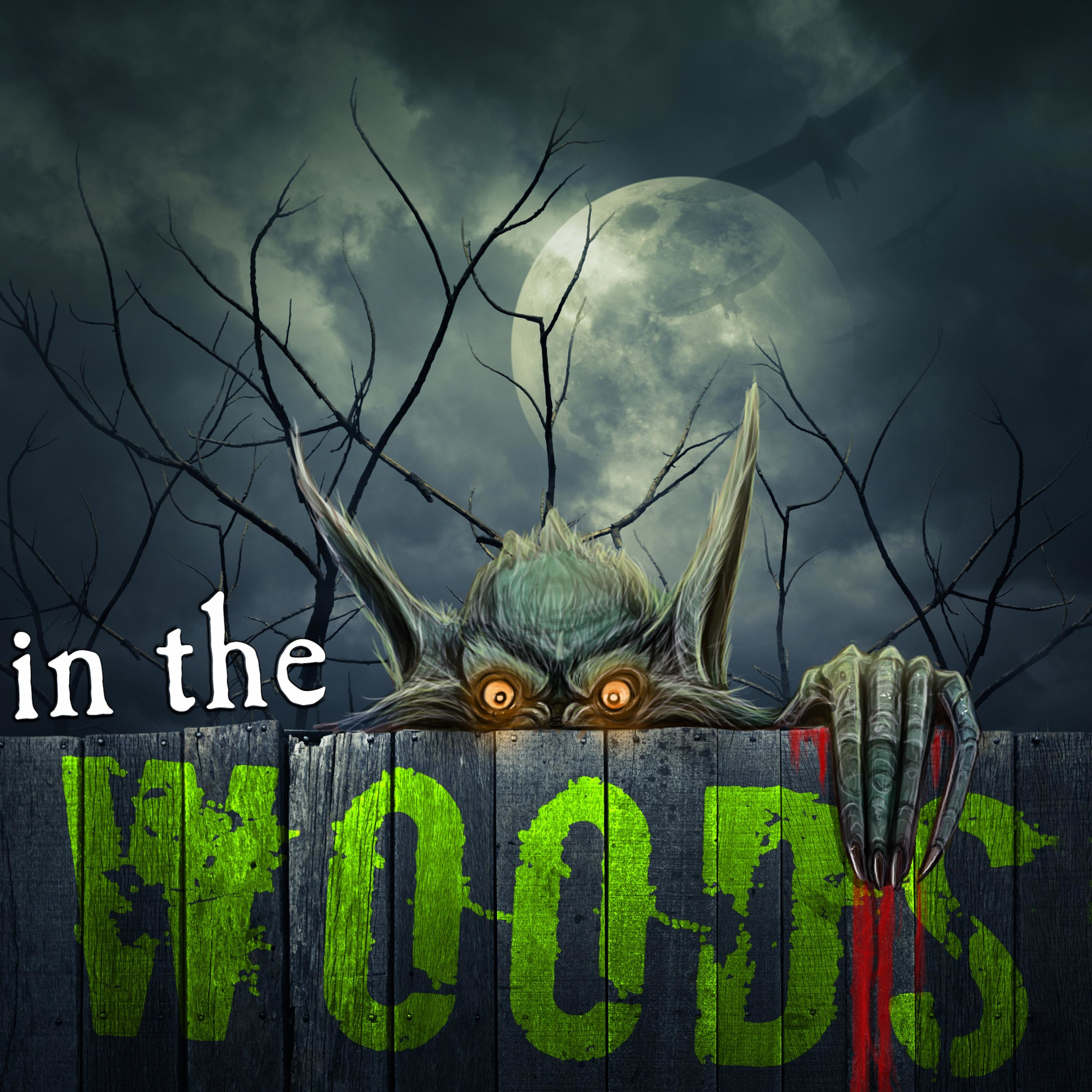 A Forest Guide's Most DISTURBING Experience in the Woods - In the Woods ...