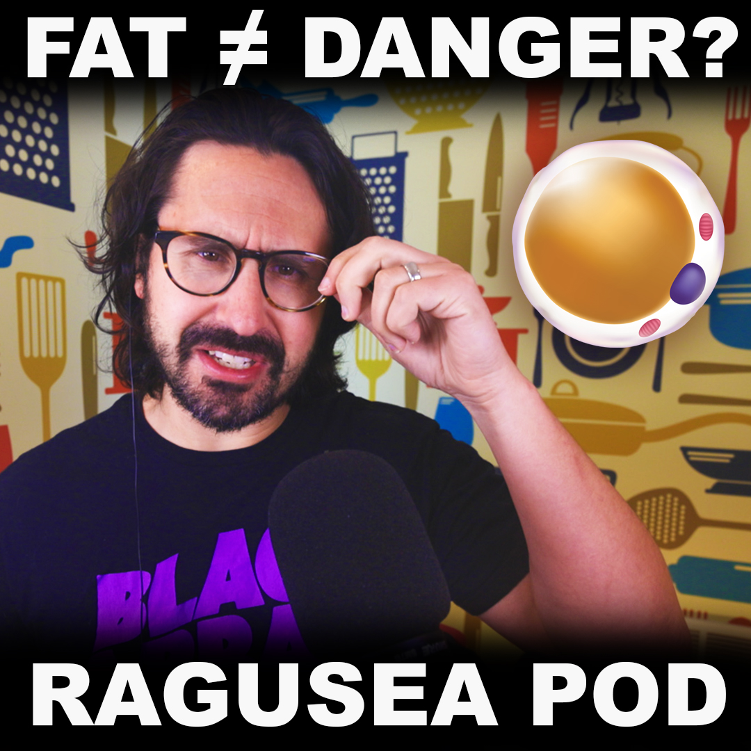 Is it actually unhealthy to be overweight? (E39) – The Adam Ragusea ...