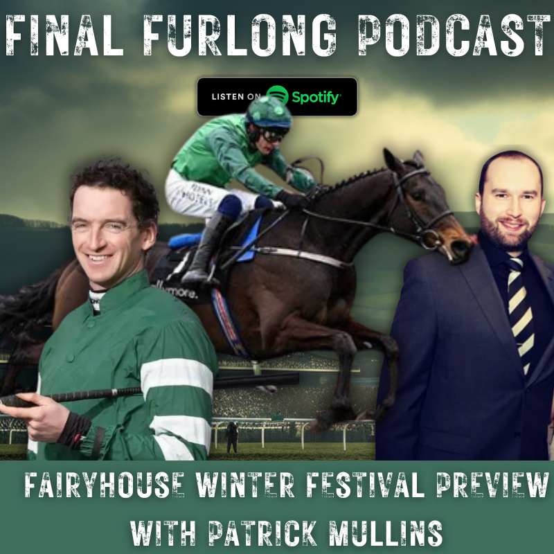 Fairyhouse Winter Festival Preview with Patrick Mullins – The Final ...