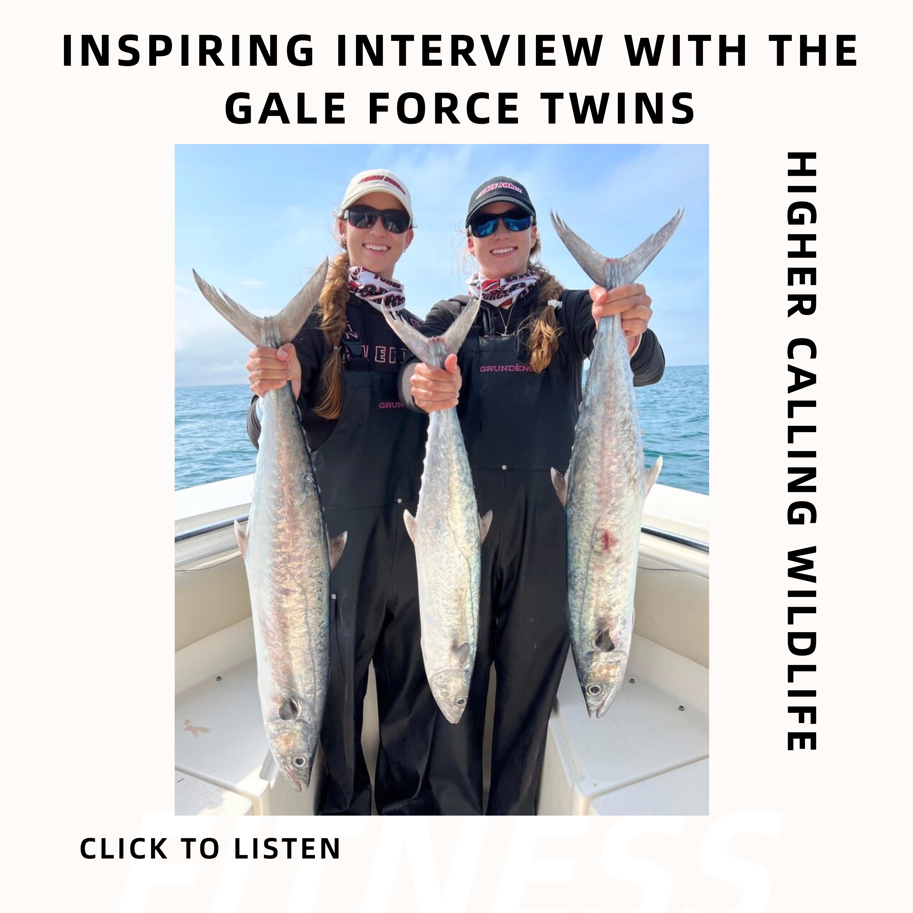 Higher Calling Wildlife - CRITTERFACTS