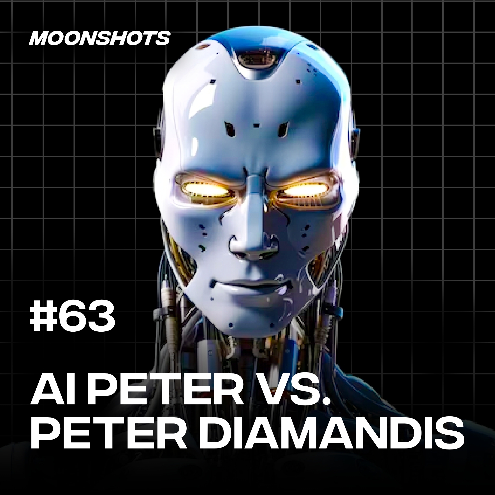 1 on 1 With a Doomsday AI - AI's Worst Case Scenario | EP #63 – Moonshots with Peter Diamandis ...