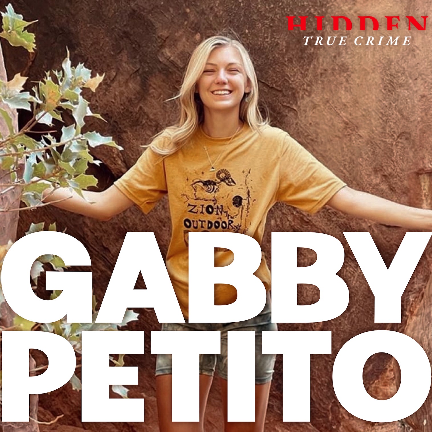 GABBY PETITO: Top Risk Factors for Violent Relationships - Pocket Casts