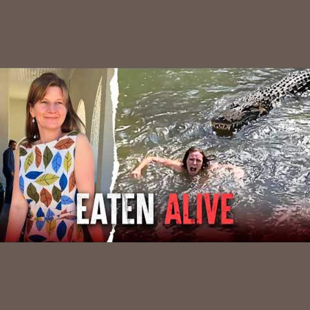 The Most Dangerous Crocodile Attacks: The Cindy Waldron Story - How To ...