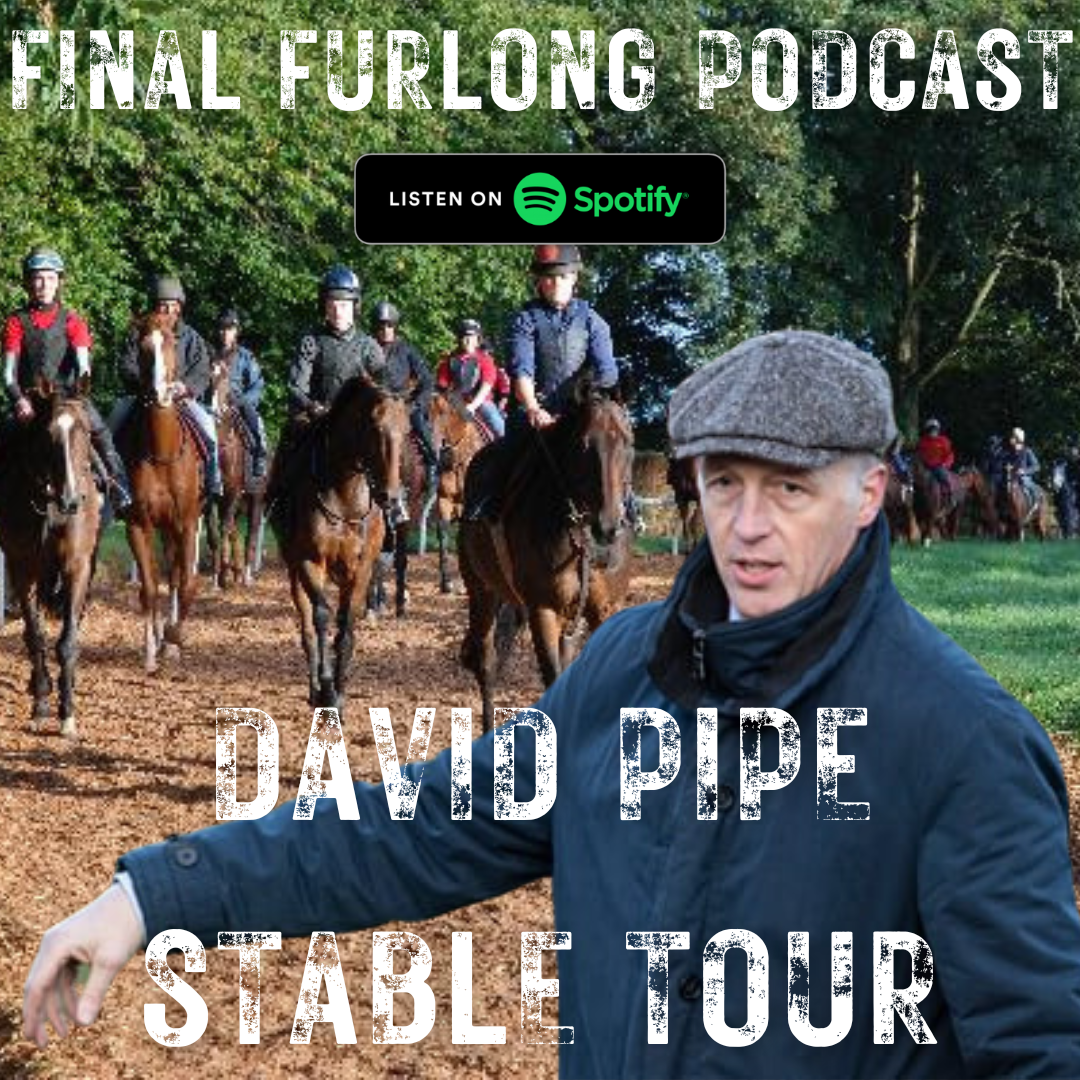 Exclusive: David Pipe Stable Tour 2023/24 – The Final Furlong Podcast ...
