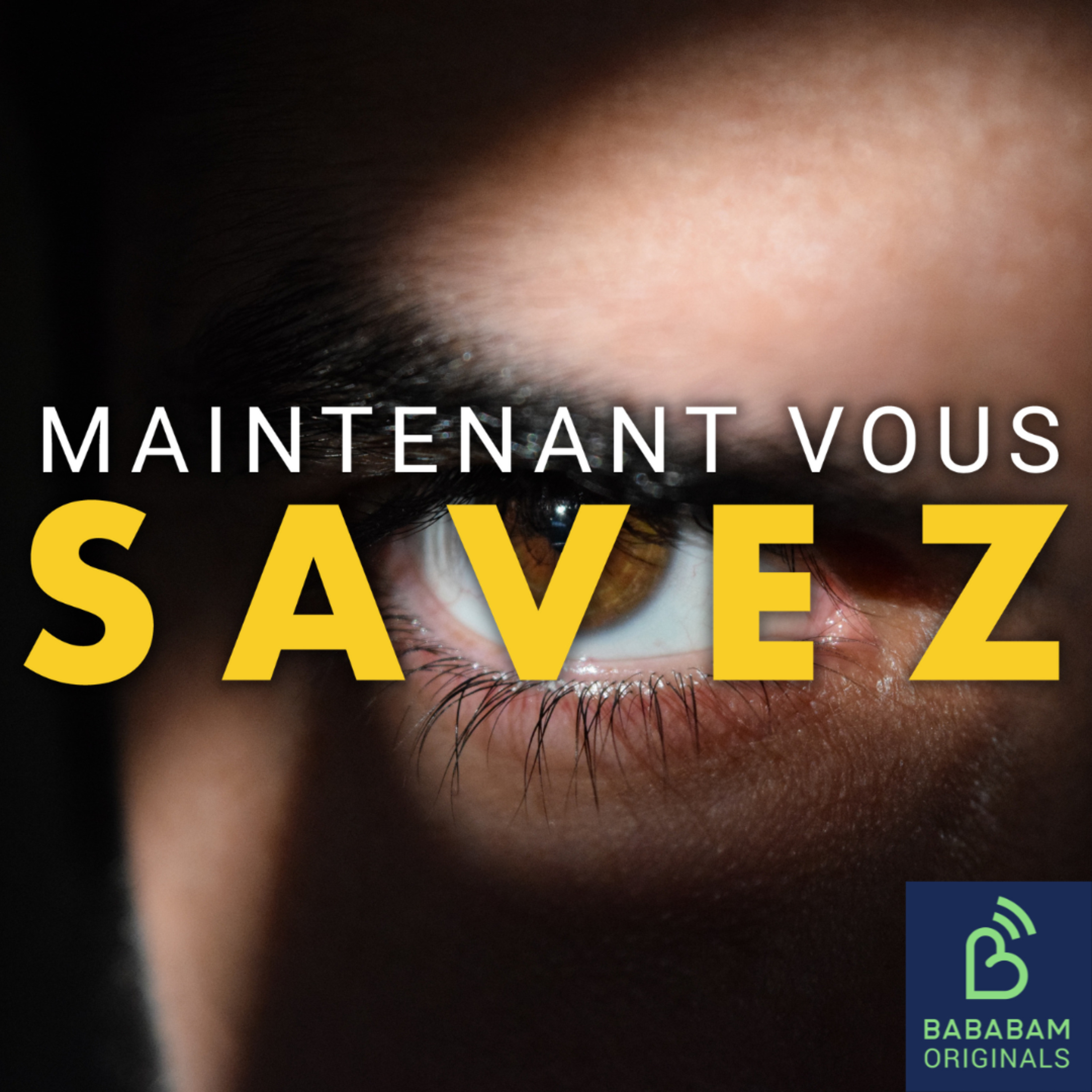 Théorie du complot : qui sont les "citoyens souverains" ? - Maintenant, vous savez | podCloud