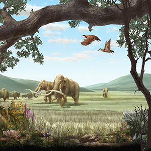 What Was the Bay Area Like During the Last Ice Age? by Bay Curious ...