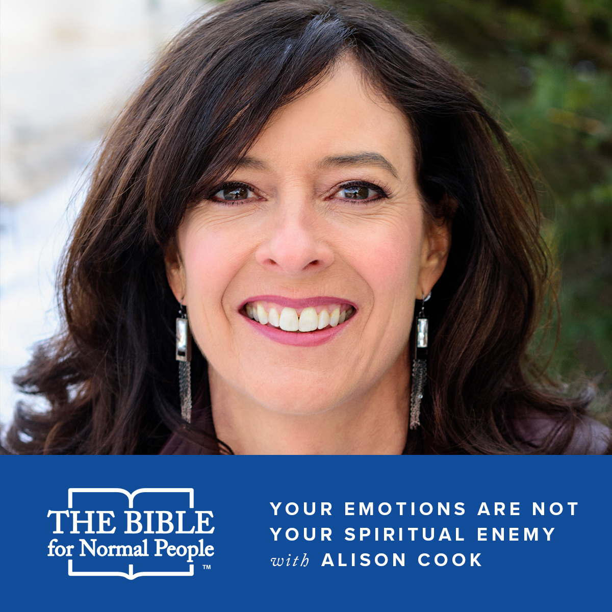 Episode 115: Alison Cook - Your Emotions Are Not Your Spiritual Enemy ...