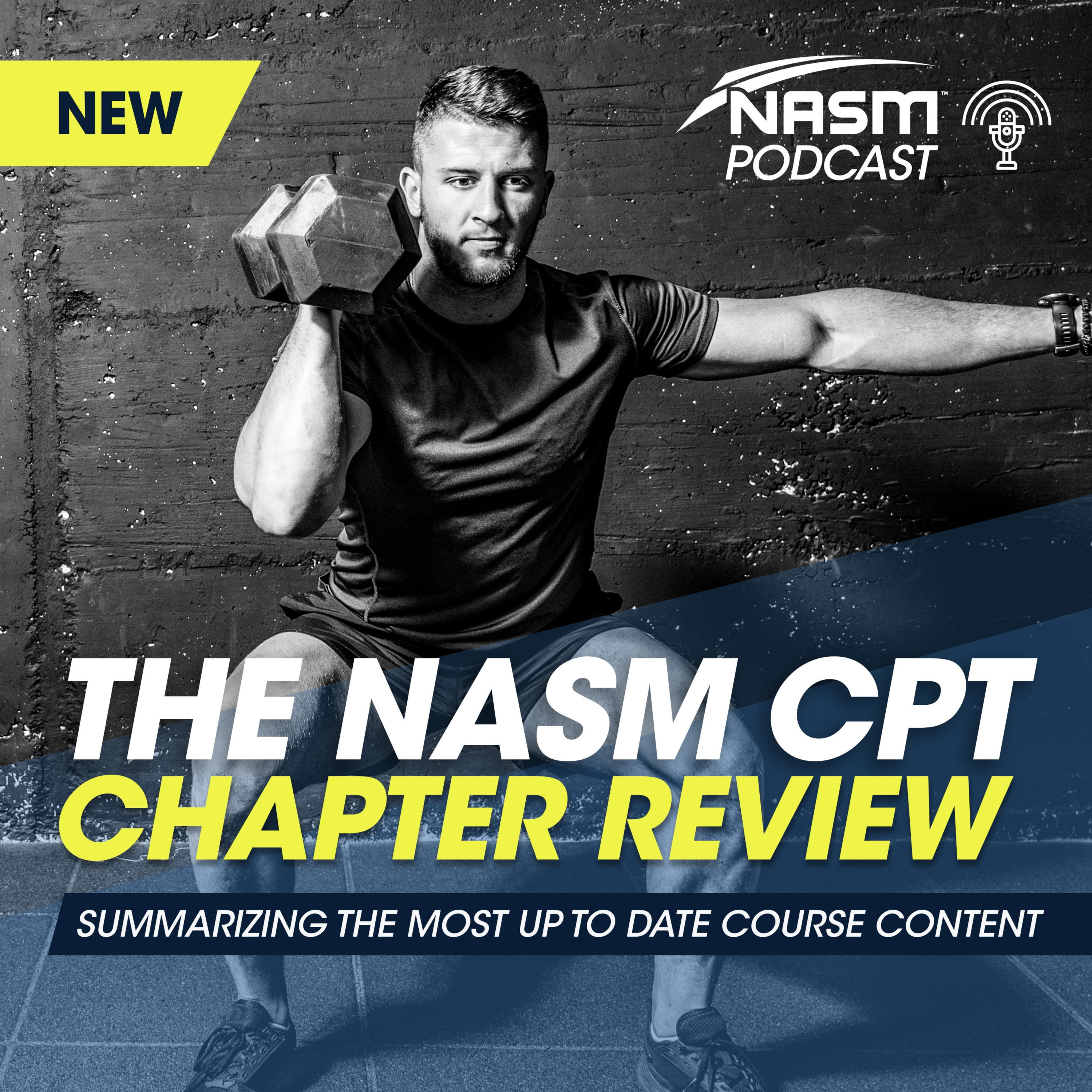 NASM CPT Chapter Review Podcast - Ch. 20 - Resistance Training Concepts ...