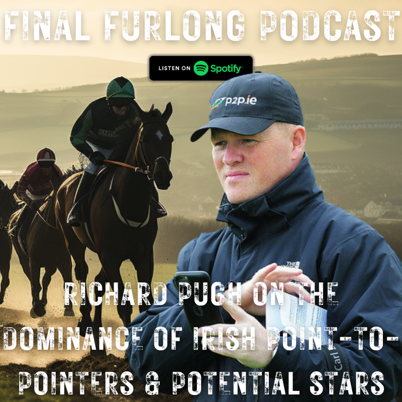 RTE's Richard Pugh on the Dominance of Irish Point-to-Pointers in ...