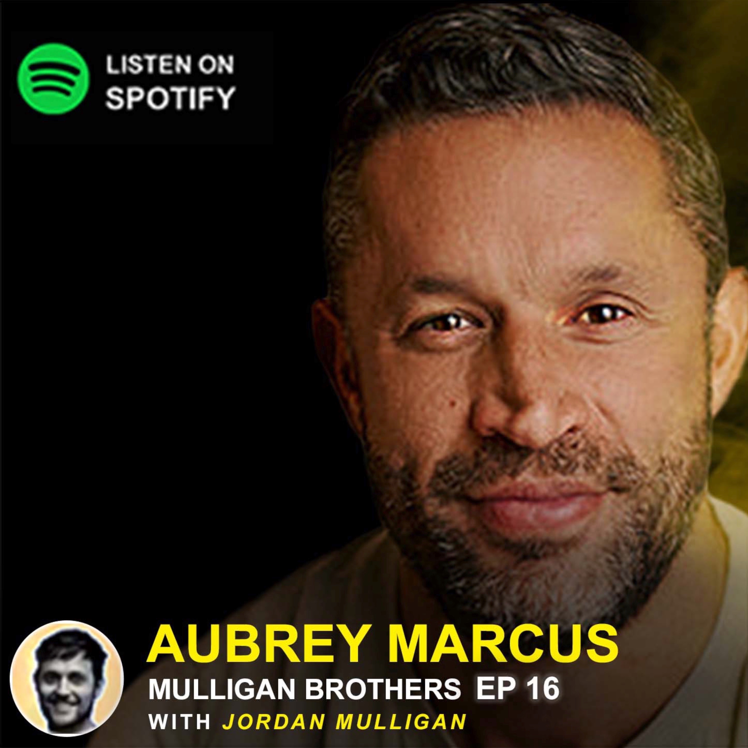 EP 16 - Aubrey Marcus | Mulligan Brothers Motivation with Jordan ...