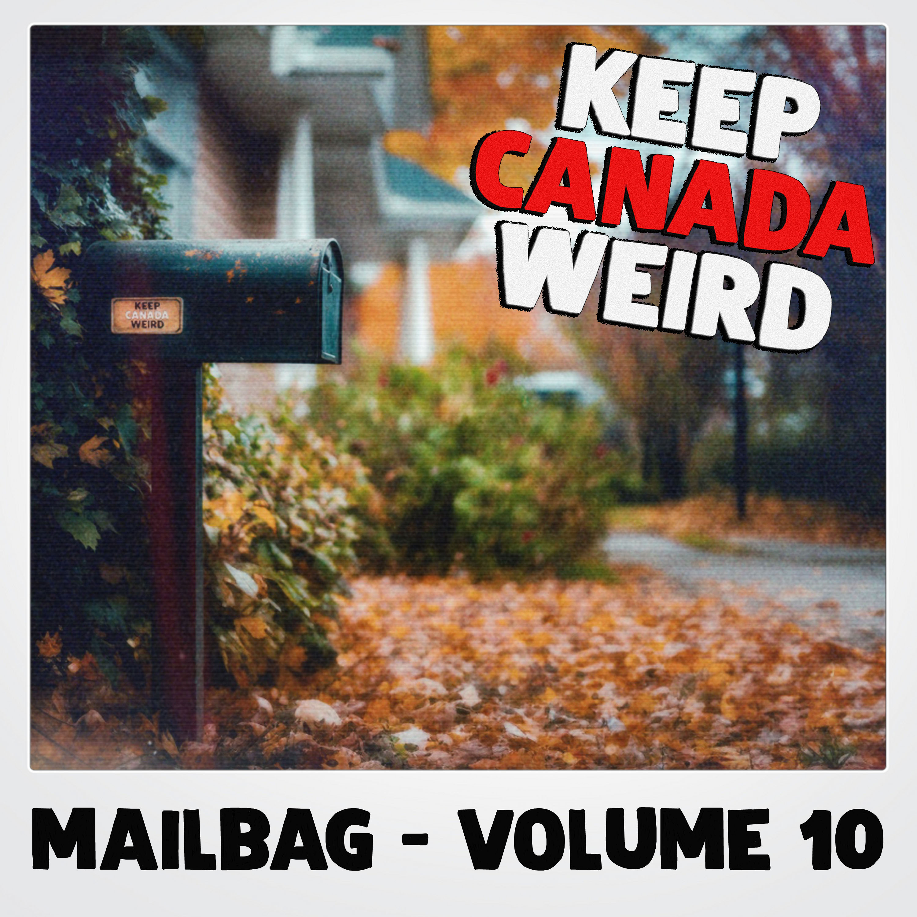 193 - 2025/12/19 - a time machine, Jellycats, North Bay tire slashings ...