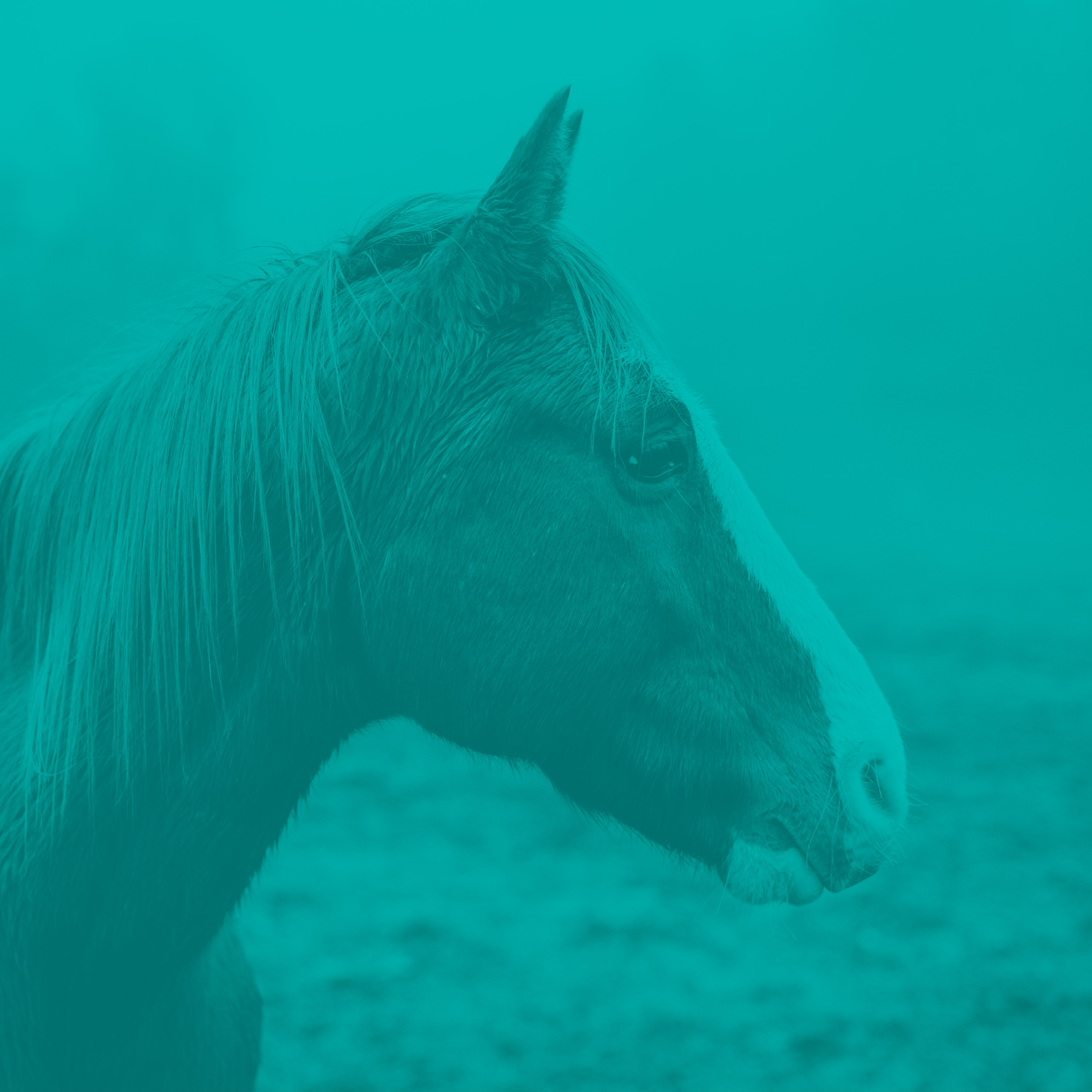 No Need for AI Unicorns: PepsiCo's Colin Lenaghan from Me, Myself, and ...