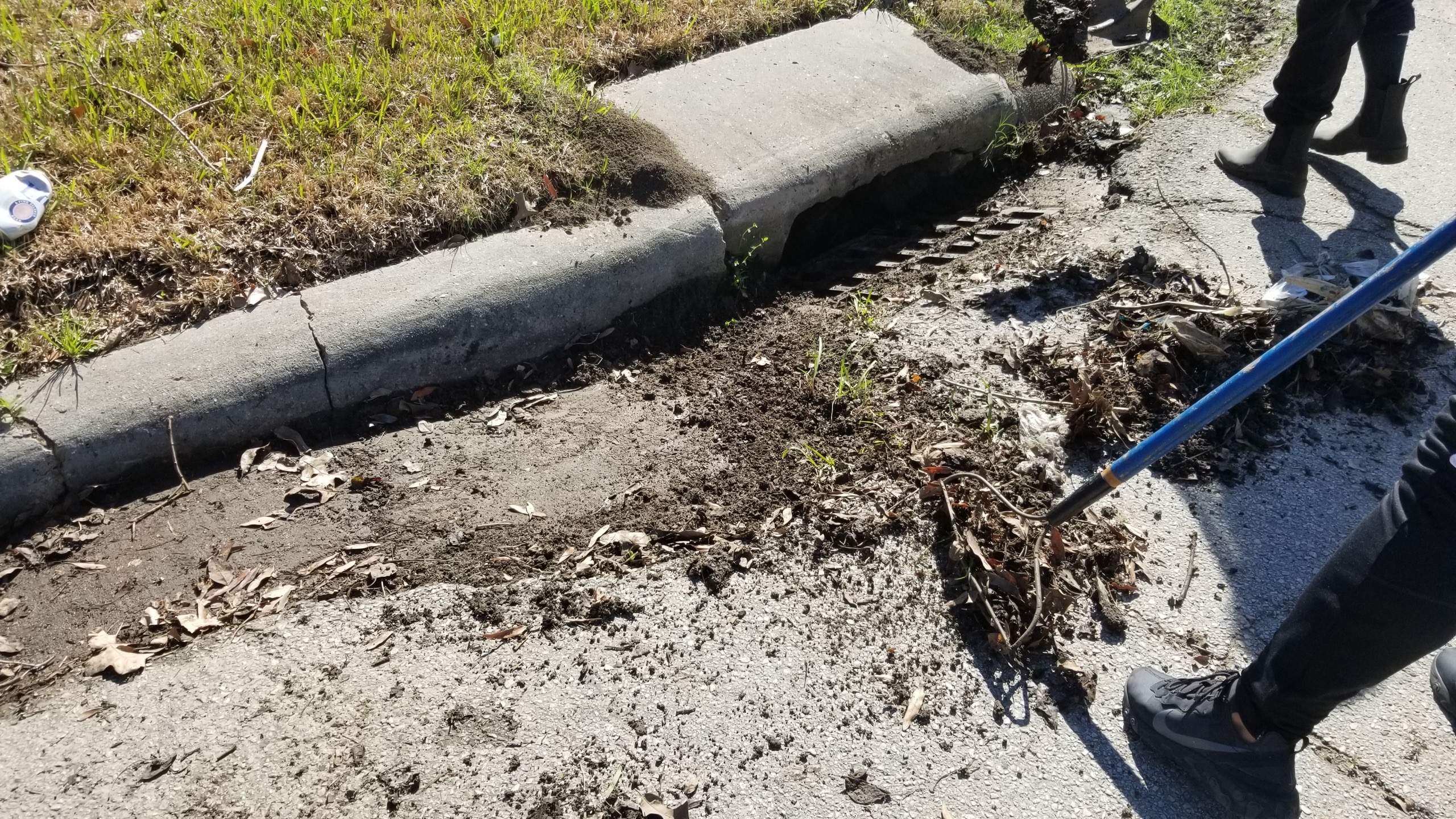 Mail Theft Ring, Throwing THC at Reporters, and Pools Open! - City Cast ...