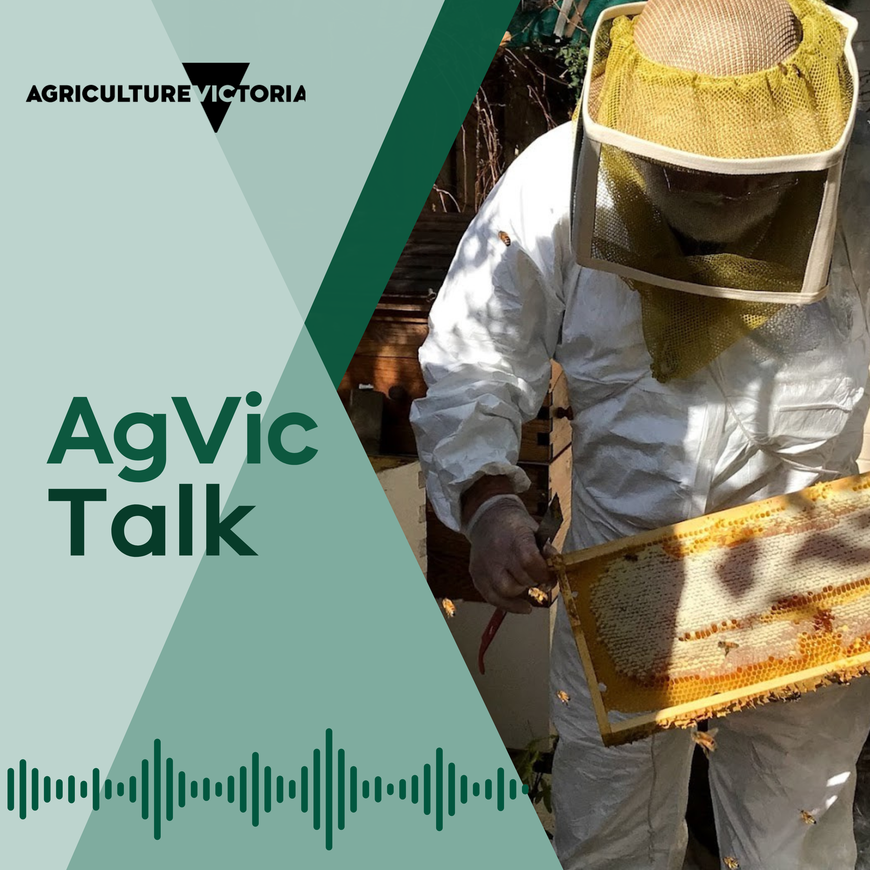 Beekeepers vs Varroa: Survival, Support & Strategy with Mike Allerton ...